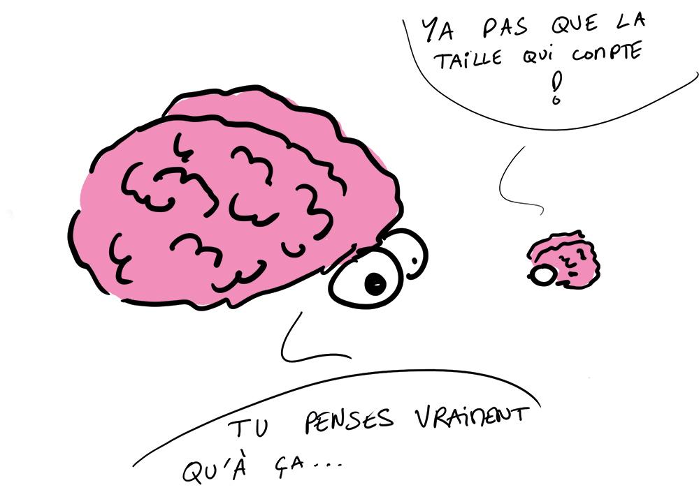Podcast Science 204 Le Sexe Du Cerveau Avec Franck Ramus Podcast